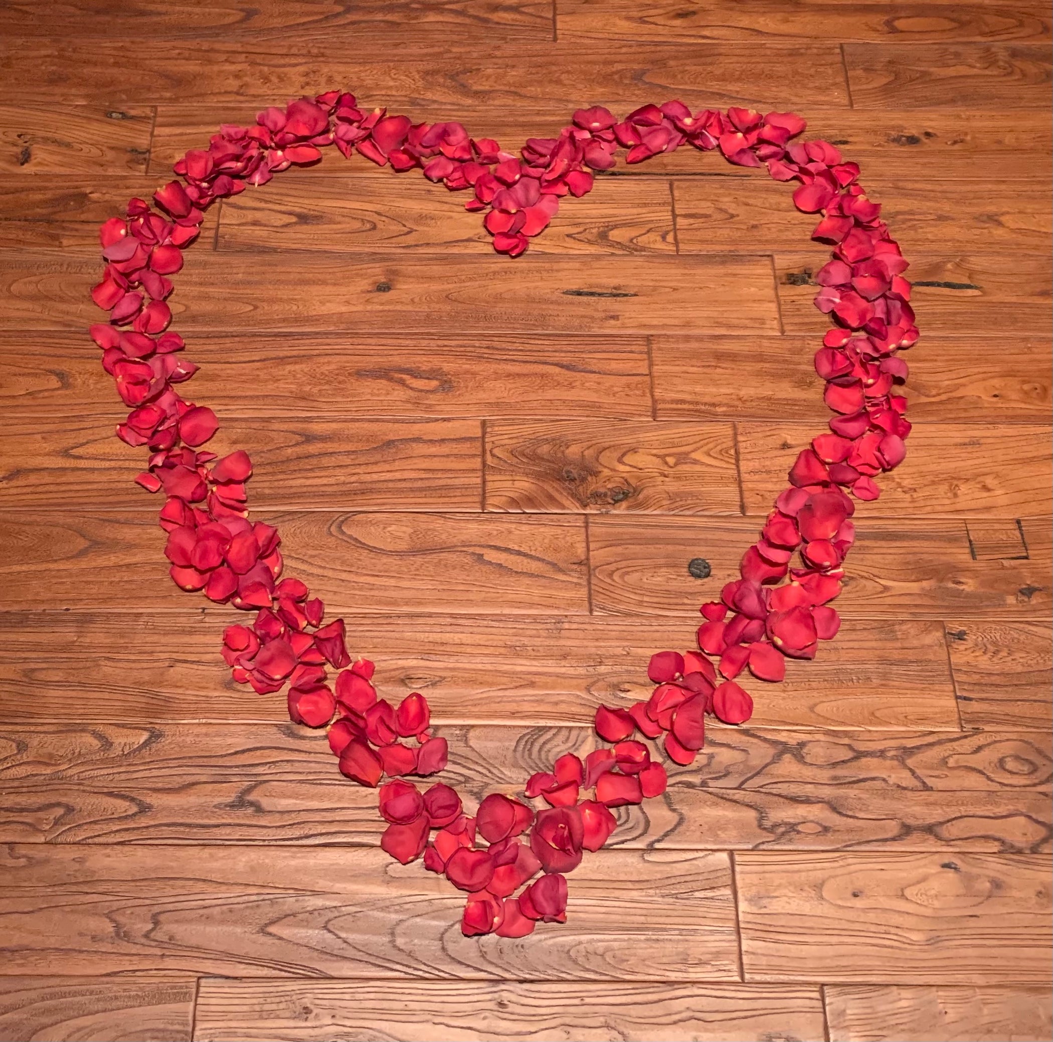 Rose Petals, Real Freeze Dried Ivory Petals for Pathways, 70 cups ...