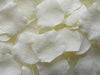 Ivory Silk Rose Petals, 100 petals – Petal Garden, Inc.